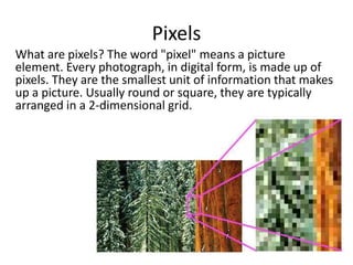 Digital Photography and Editing Basics | PPTX