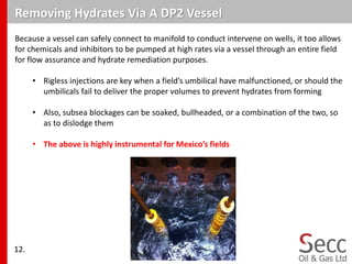 Tech Venture Looks to Prevent Subsea Production Issues in Mexico's ...