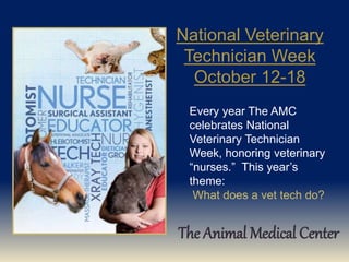 What Does a Vet Tech Do? | PPTX