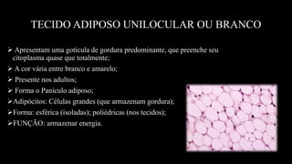 Tecido adiposo | PPTX