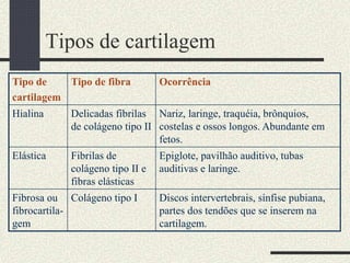 Tecido cartilaginoso.ppt