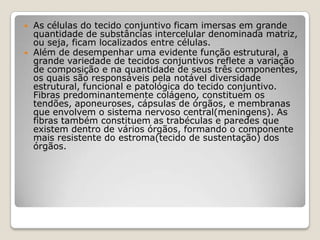 Tecido conjuntivo 2o a | PPTX