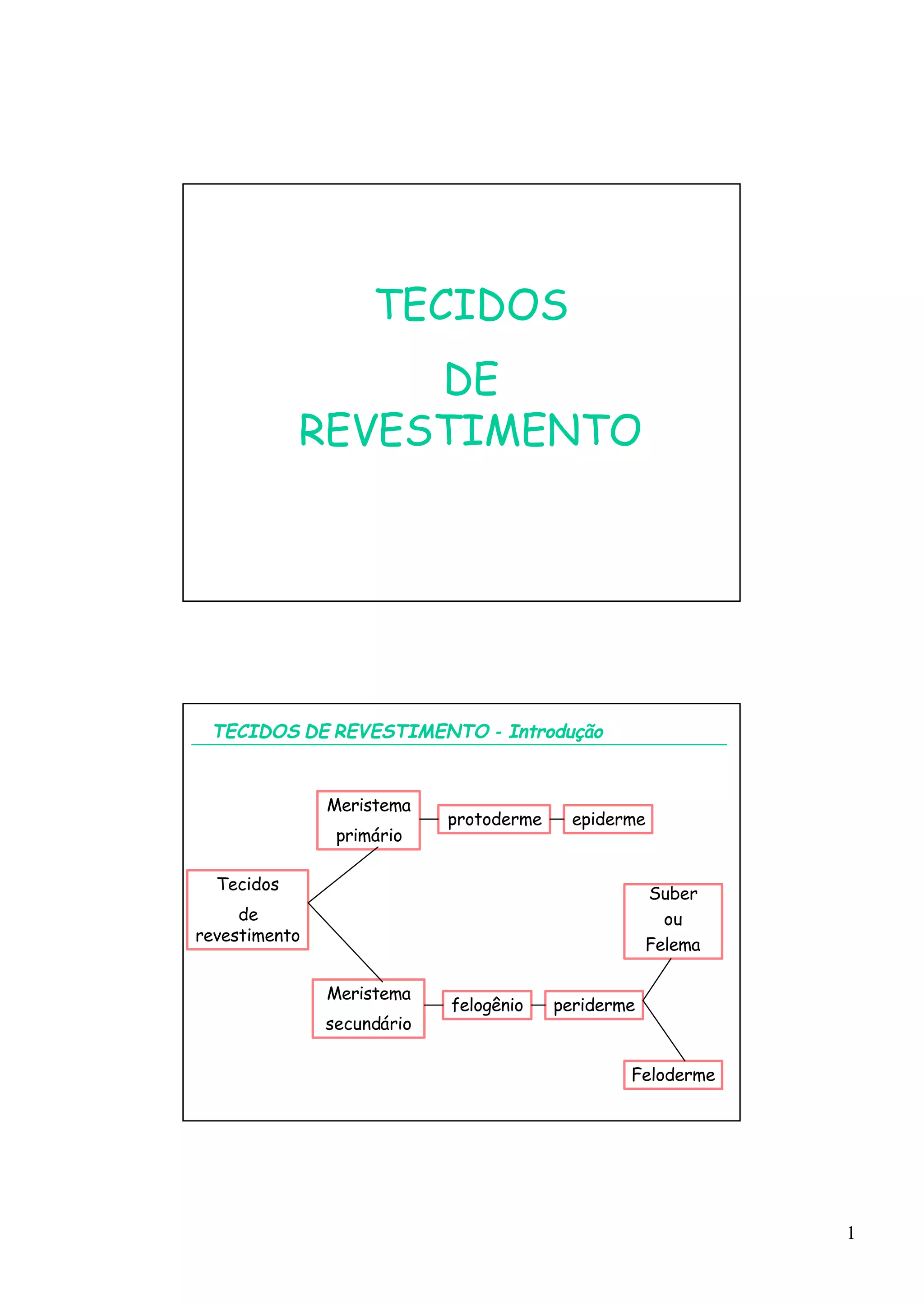 Tecido de revestimento celula vegetal | PDF