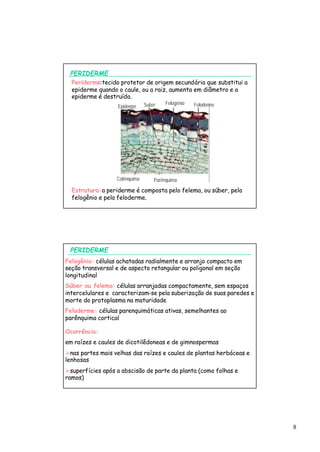 Tecido de revestimento celula vegetal | PDF