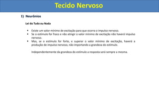Tecido_Nervoso.pptxsistema nervoso neuronios | PPTX