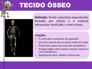 Tecido ósseo | PPTX