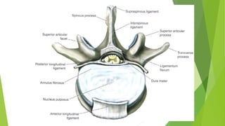 Bloqueo epidural | PPTX