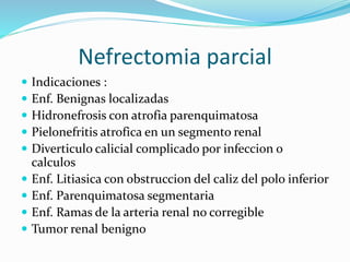 Tecnica de nefrectomia simple y parcial | PPTX