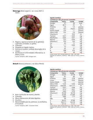 Tecnica de produccion horticola en el sur de chile | PDF