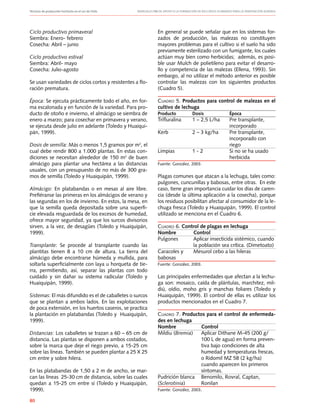 Tecnica de produccion horticola en el sur de chile | PDF