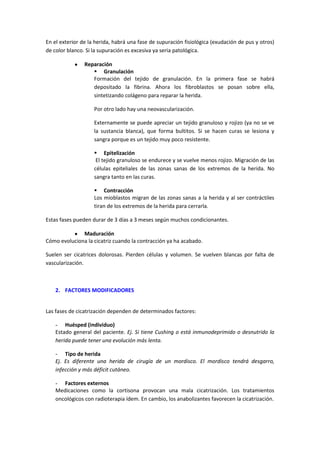 Tecnica de suturas | DOCX
