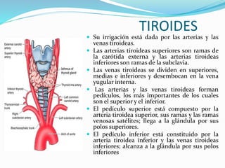 Técnica quirúrgica tiroidectomía | PPTX