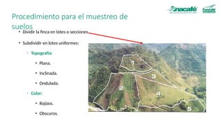 Tecnicas-Muestreo-Suelos-Fertilizacion-Efectiva.pptx