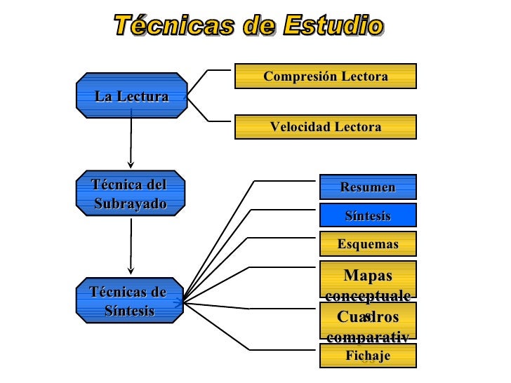 9 Ideas De Mapas Conceptuales Mapas Mapa Conceptual Tecnicas De Estudio Images
