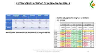 Tecnicas de cultivo.pptx