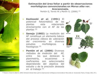 Aplicación de las Técnicas de Medición del Área Foliar | PDF