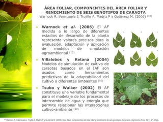 Aplicación de las Técnicas de Medición del Área Foliar | PDF