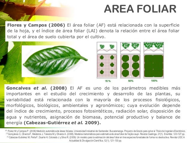 Aplicación de las Técnicas de Medición del Área Foliar