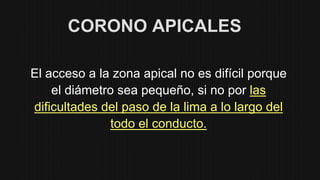 Técnica Híbrida de Instrumentación Manual. (Doble Conicidad) | PPTX