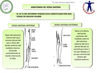 Tecnicas de safenectomia | PPT