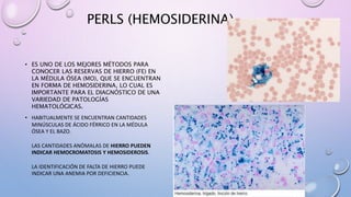 Tecnicas especiales en anatomia patologica | PPTX