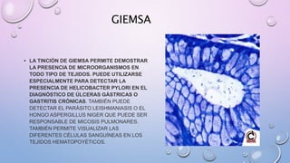 Tecnicas especiales en anatomia patologica | PPTX
