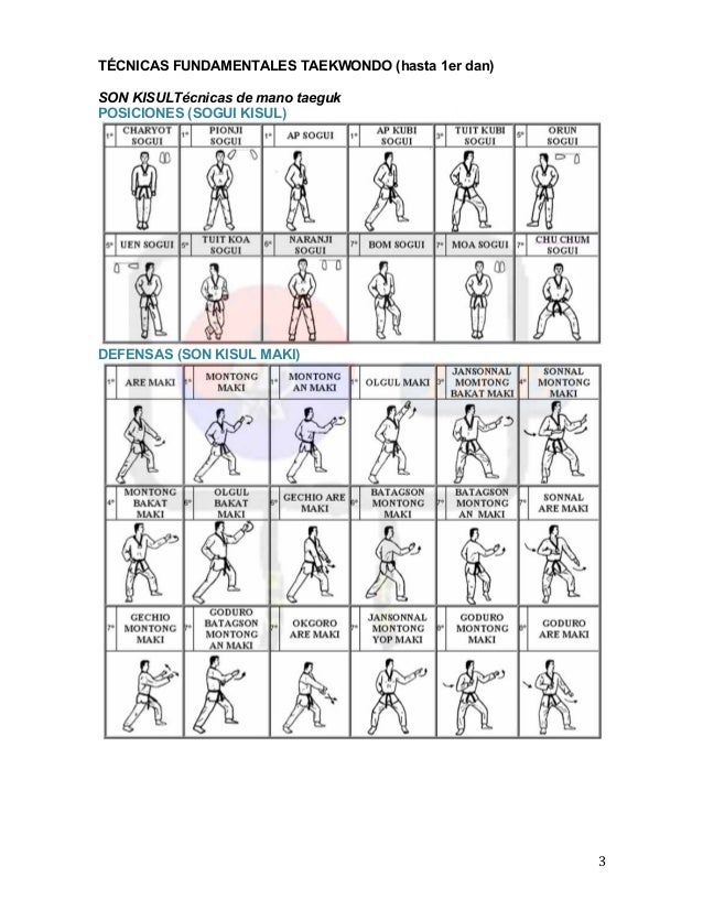 Tecnicas Basicas De Taekwondo