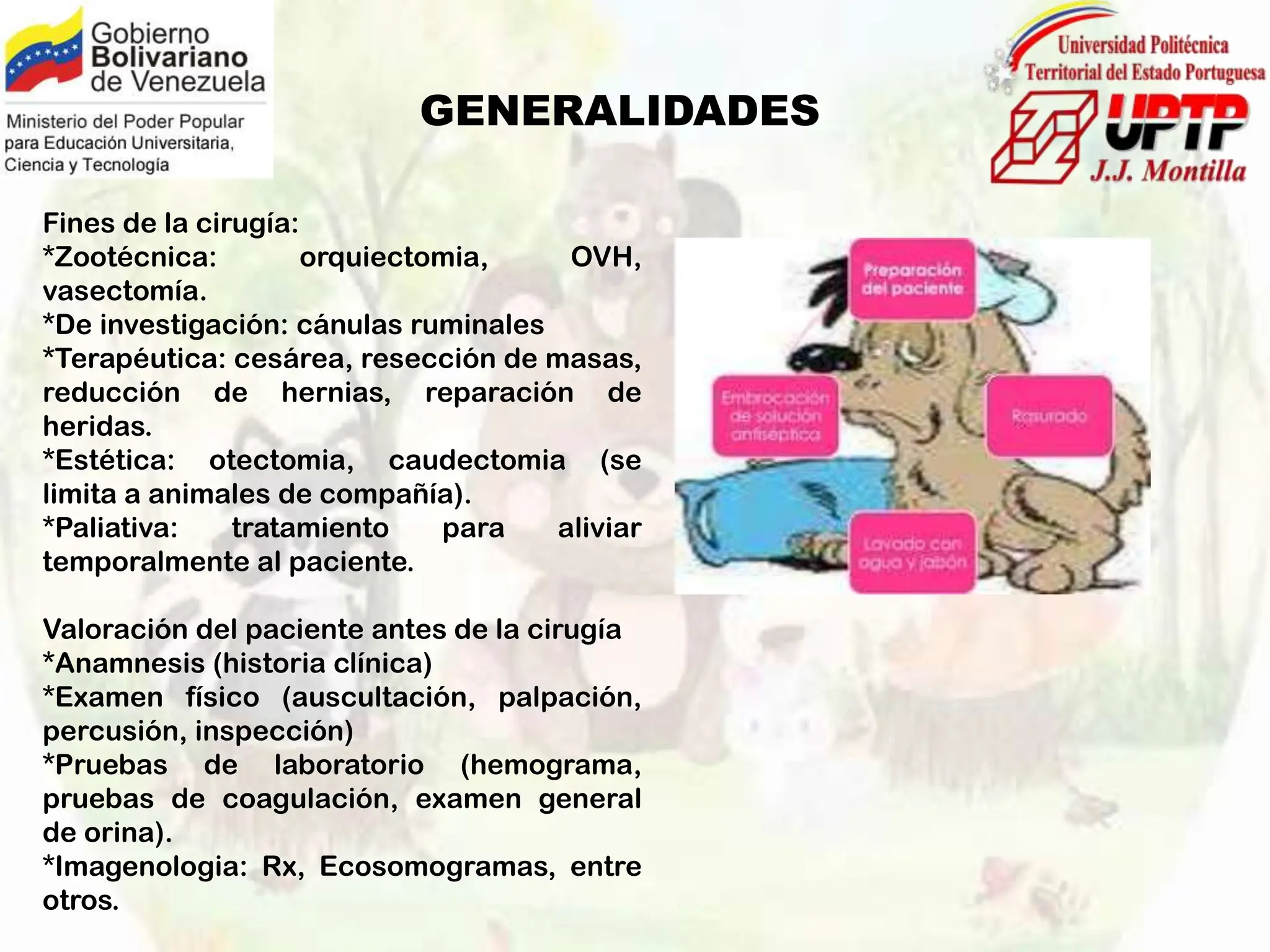 tecnicas quirurgicas.pdf generales en medicina veterinaria | PDF