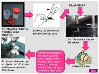 Tecnica y diagrama moco fecal | PPTX
