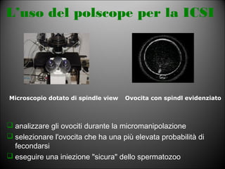 Tecniche e risultati pma | PPT