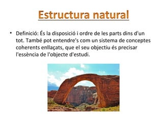 Tecno: estructuras naturals | PPT