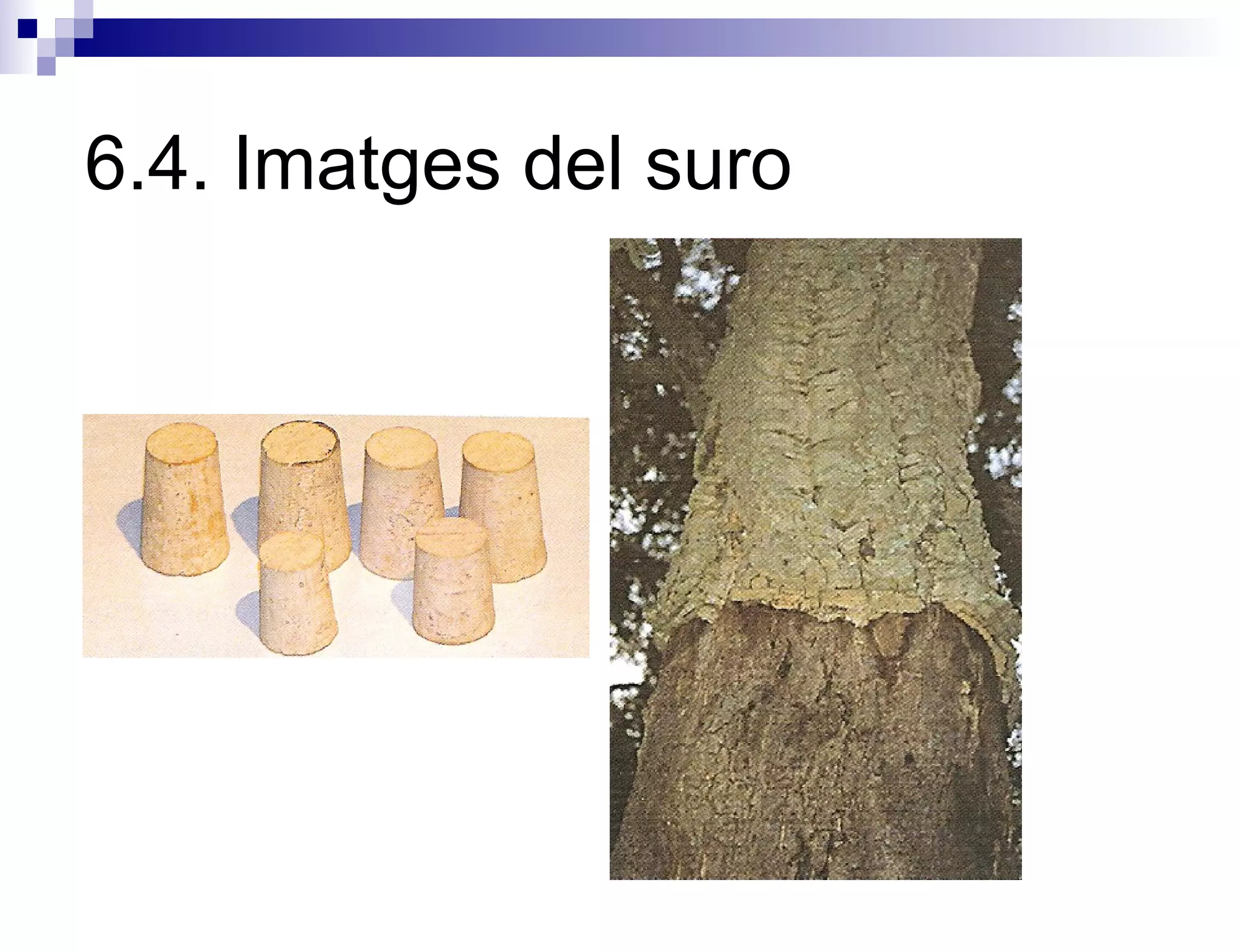Tecno1 els materials | PPT