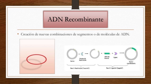 Tecnología del adn recombinante