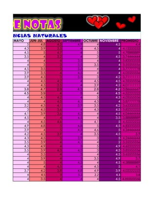 PLANILLA DE NOTAS | XLSX