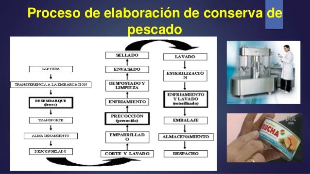 procesamiento de pescado
