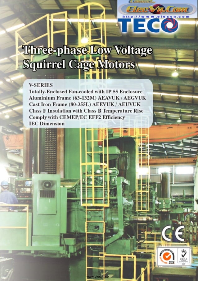 Teco electric motor manual | PDF