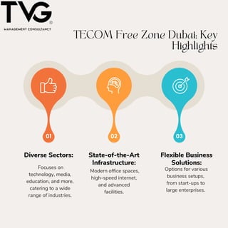 TECOM Free Zone: Dubai's Premier Business Hub | PDF