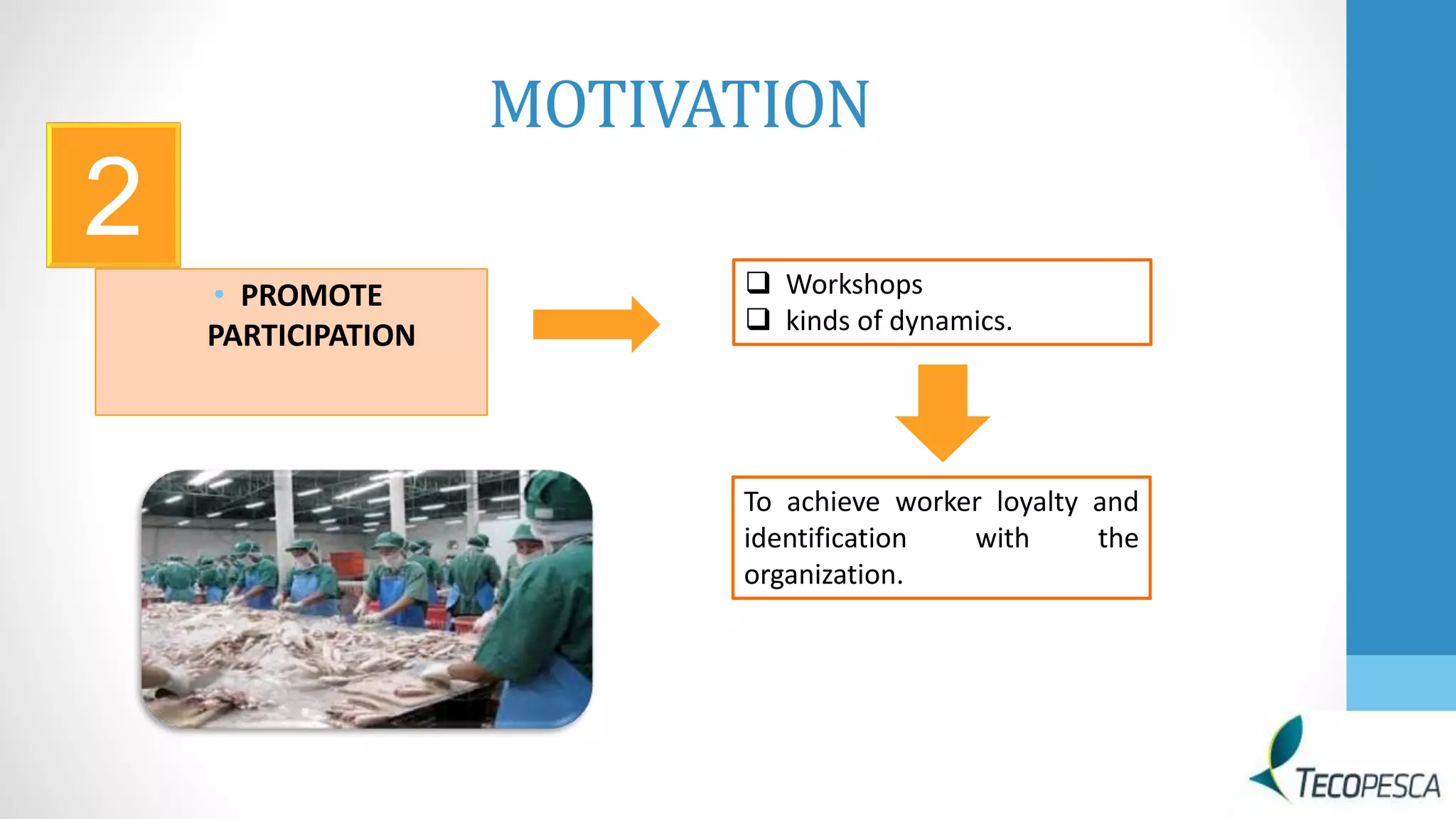 Tecopesca Positive Work Environment | PPT