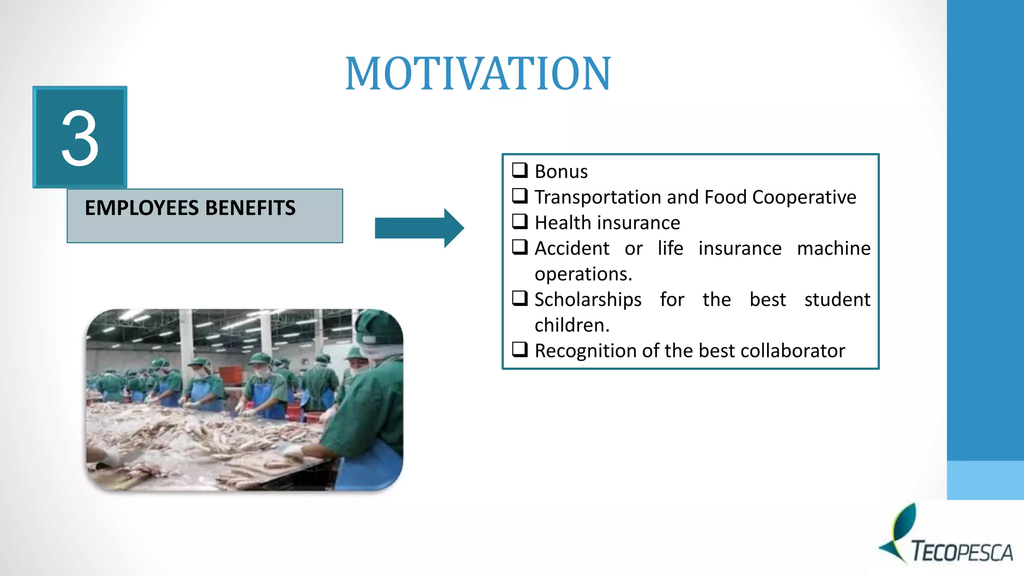 Tecopesca Positive Work Environment | PPT