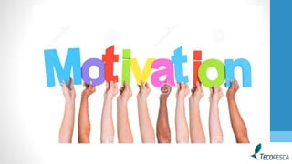 Tecopesca Positive Work Environment | PPT