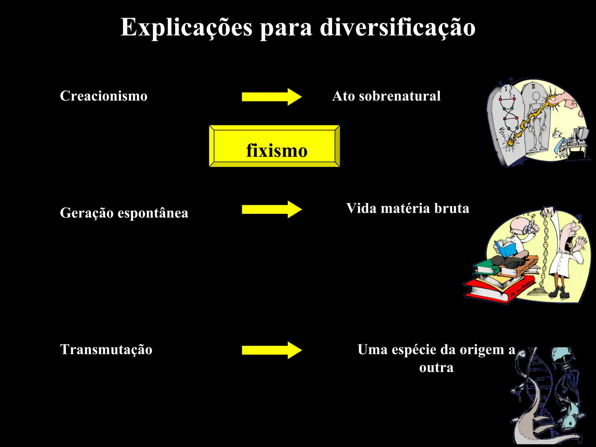 Estrutura Interna da Terra | PPT