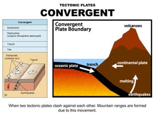 Tectonic Plates | PPTX | Geology | Science