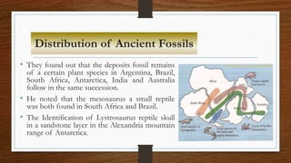 Tectonic processes | PPTX