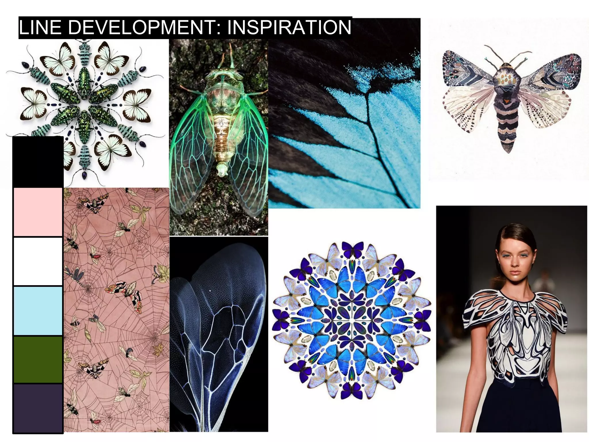 Ted Baker: Brand Profile + Line Development | PDF