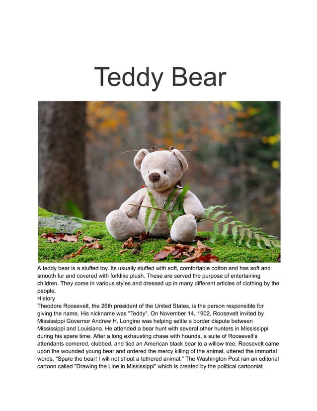 Teddy Bear | PDF