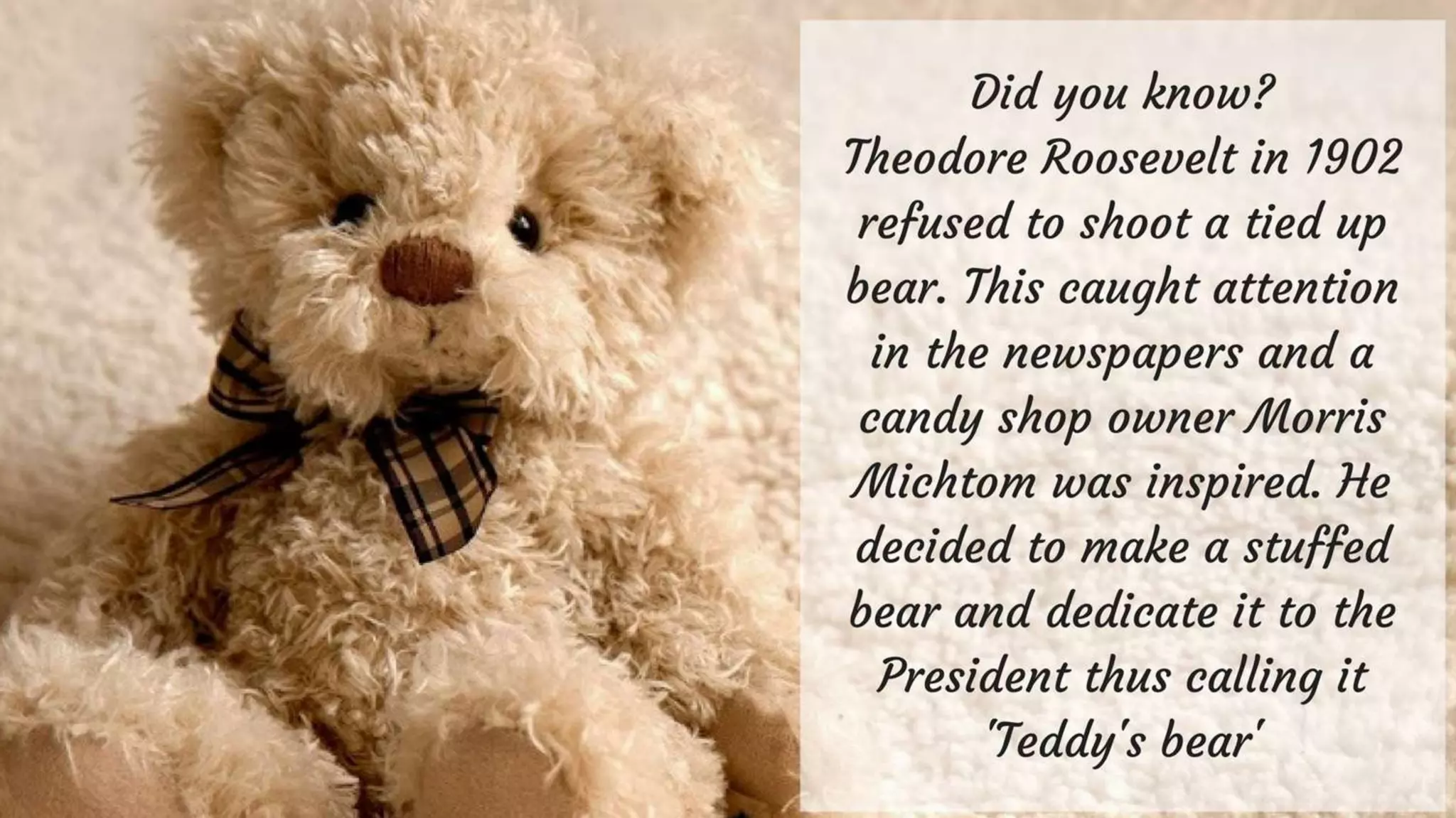 5 Types Of Teddy Bears To Express What You Feel | PPT