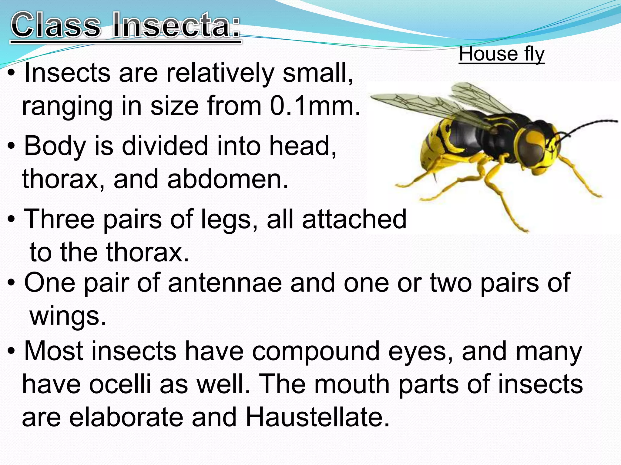 medical importance of ARTHROPODS | PPTX