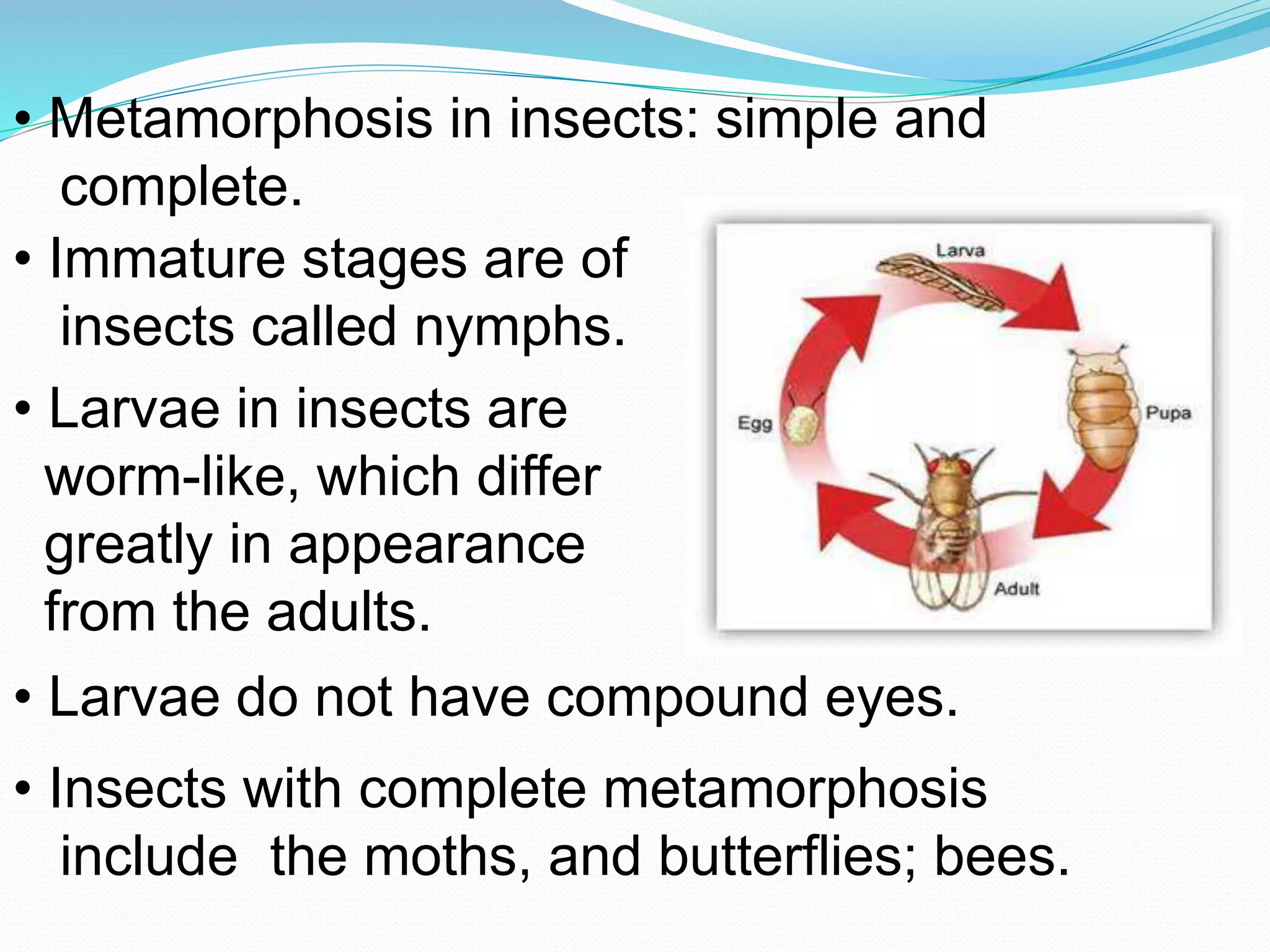 medical importance of ARTHROPODS | PPTX
