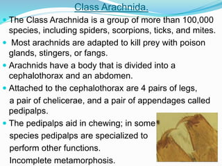medical importance of ARTHROPODS | PPTX