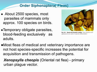 medical importance of ARTHROPODS | PPTX